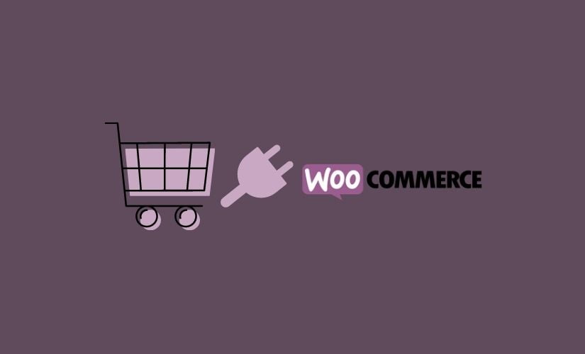 10+ Best WooCommerce Extension Plugins to Improve eCommerce Site and ...